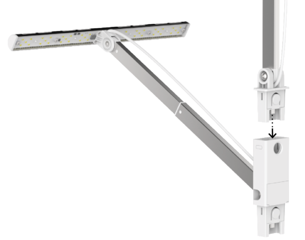 Setup – Totam